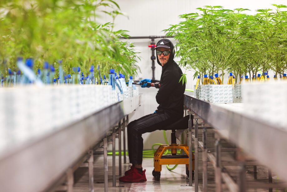 About Us | LegaSea Farms